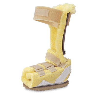 Cascade - Orthotic & Prosthetic Supplier