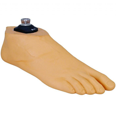 Cascade - Orthotic & Prosthetic Supplier